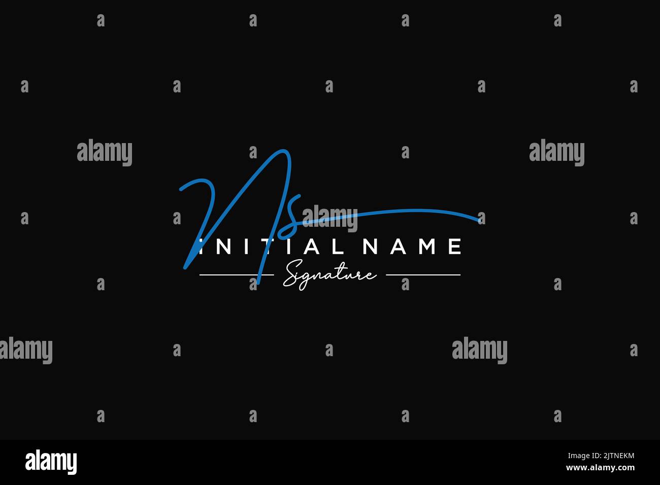 NS signature logo template vector. Hand drawn Calligraphy lettering ...