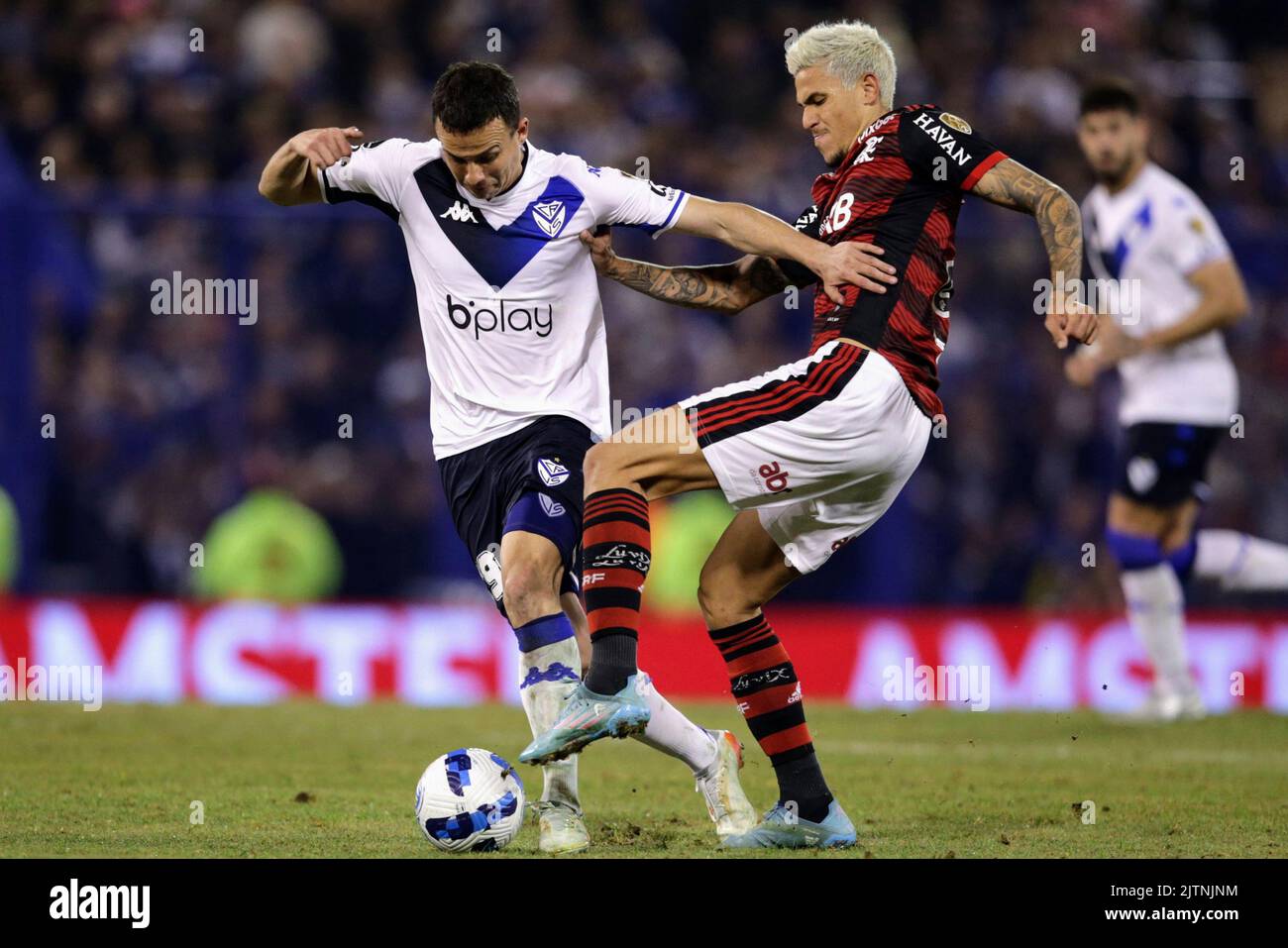 Leonardo jara hi-res stock photography and images - Alamy