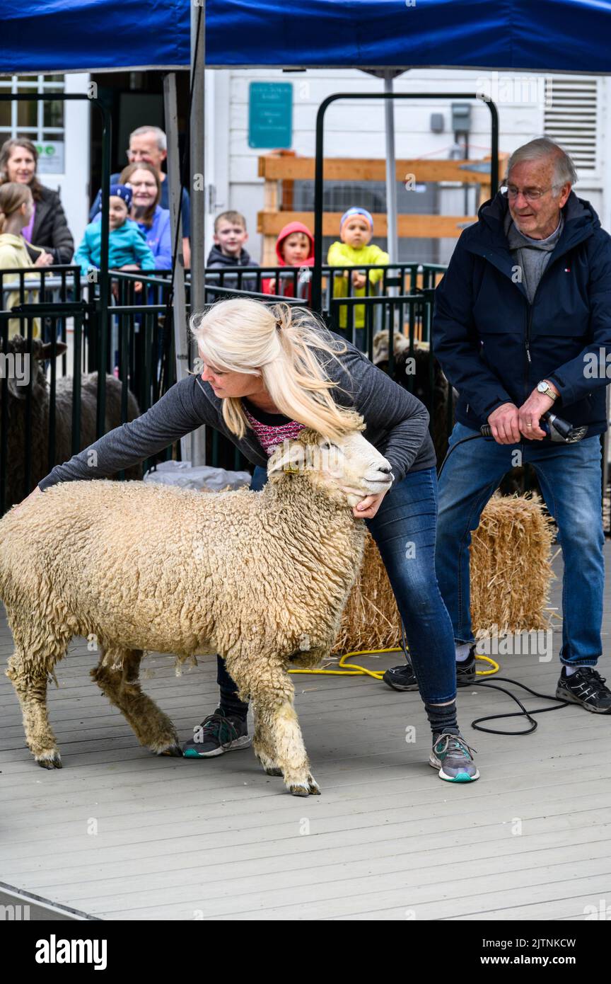 BELLEVUE, WASHINGTON, USA – APRIL 30, 2022: Kelsey Creek Farm Park ...