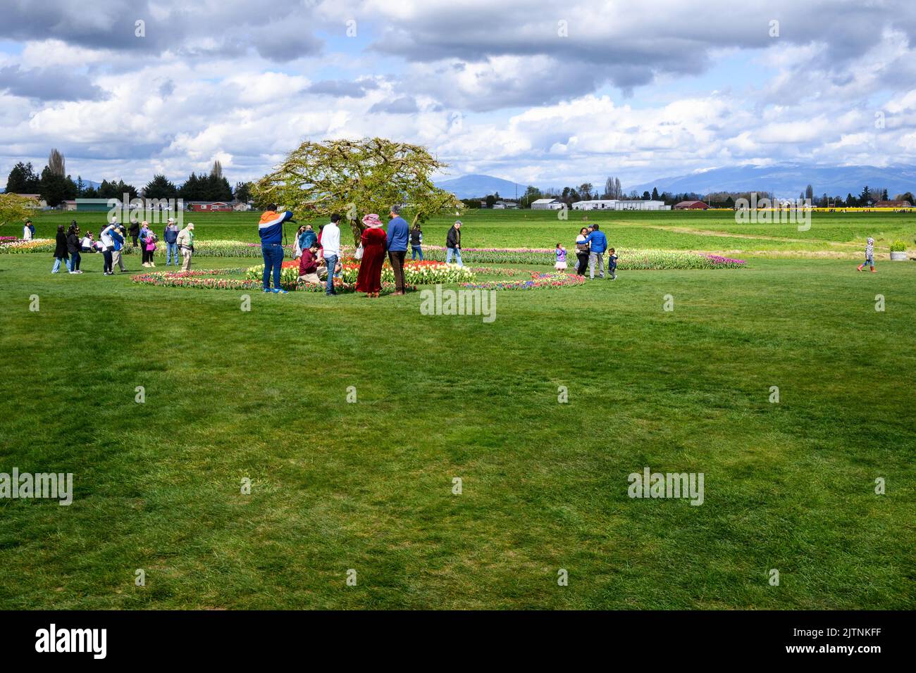 SKAGIT VALLEY, WASHINGTON, USA – APRIL 2, 2022: People enjoying the ...