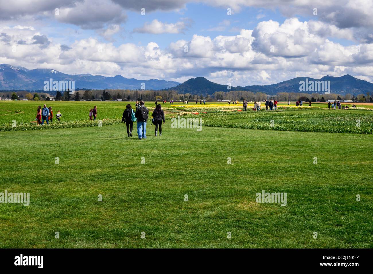 SKAGIT VALLEY, WASHINGTON, USA – APRIL 2, 2022: People enjoying the ...