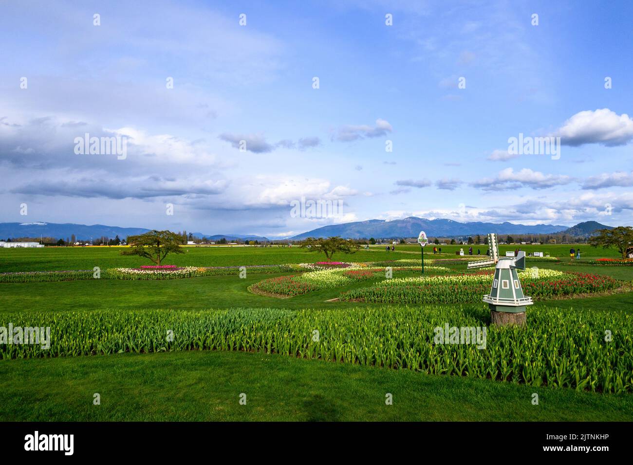 SKAGIT VALLEY, WASHINGTON, USA – APRIL 2, 2022: People enjoying the ...