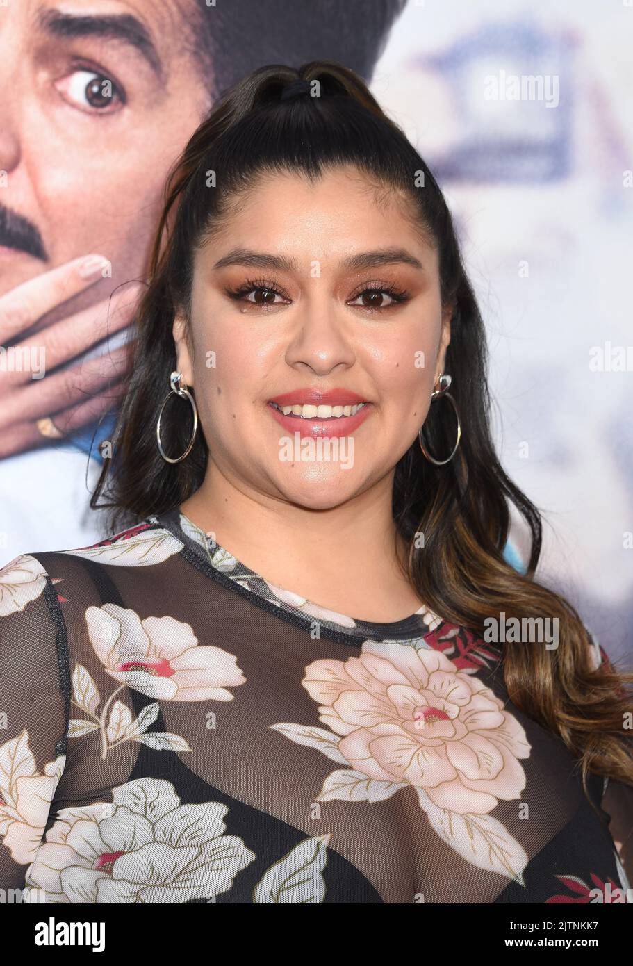 Chelsea Rendon arriving at Hulu's ÔThe ValetÕ Premiere Event held at ...