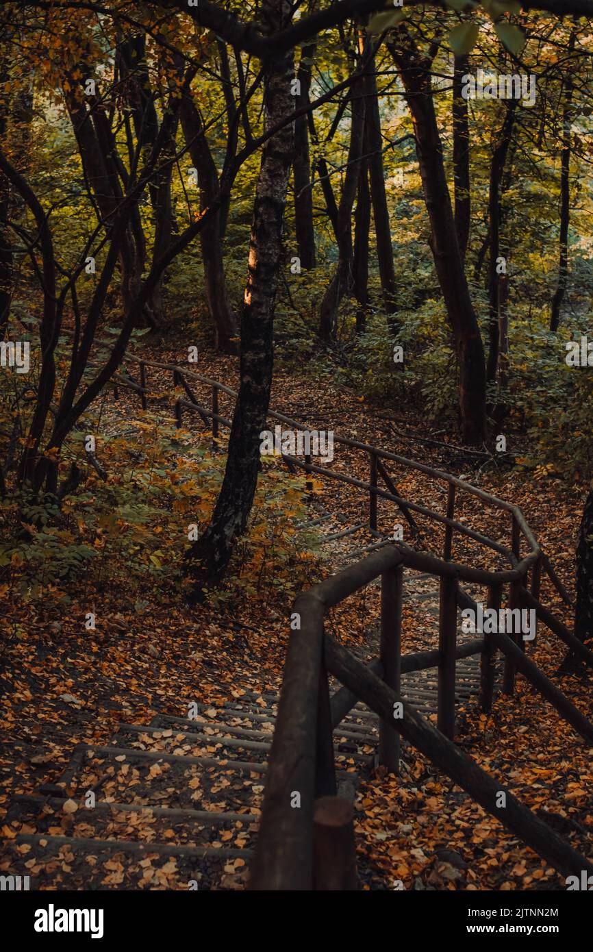 Wooden tiny curved path with leaves outside in park in fall season ...