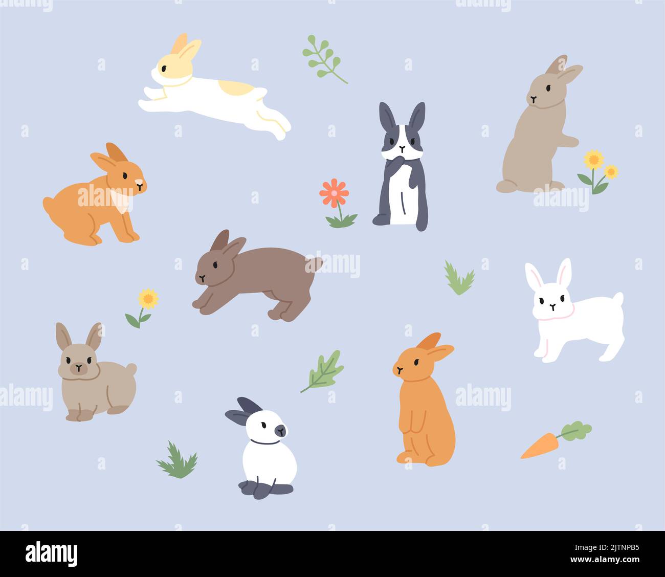 Cute rabbits of various colors and patterns are running around the ...