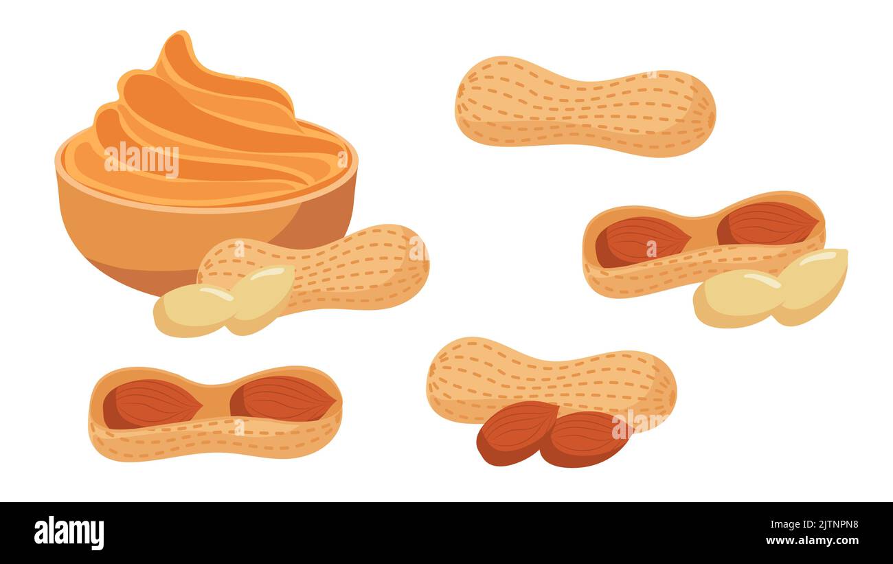Collection set of cartoon food peanut and peanut butter Stock Vector ...