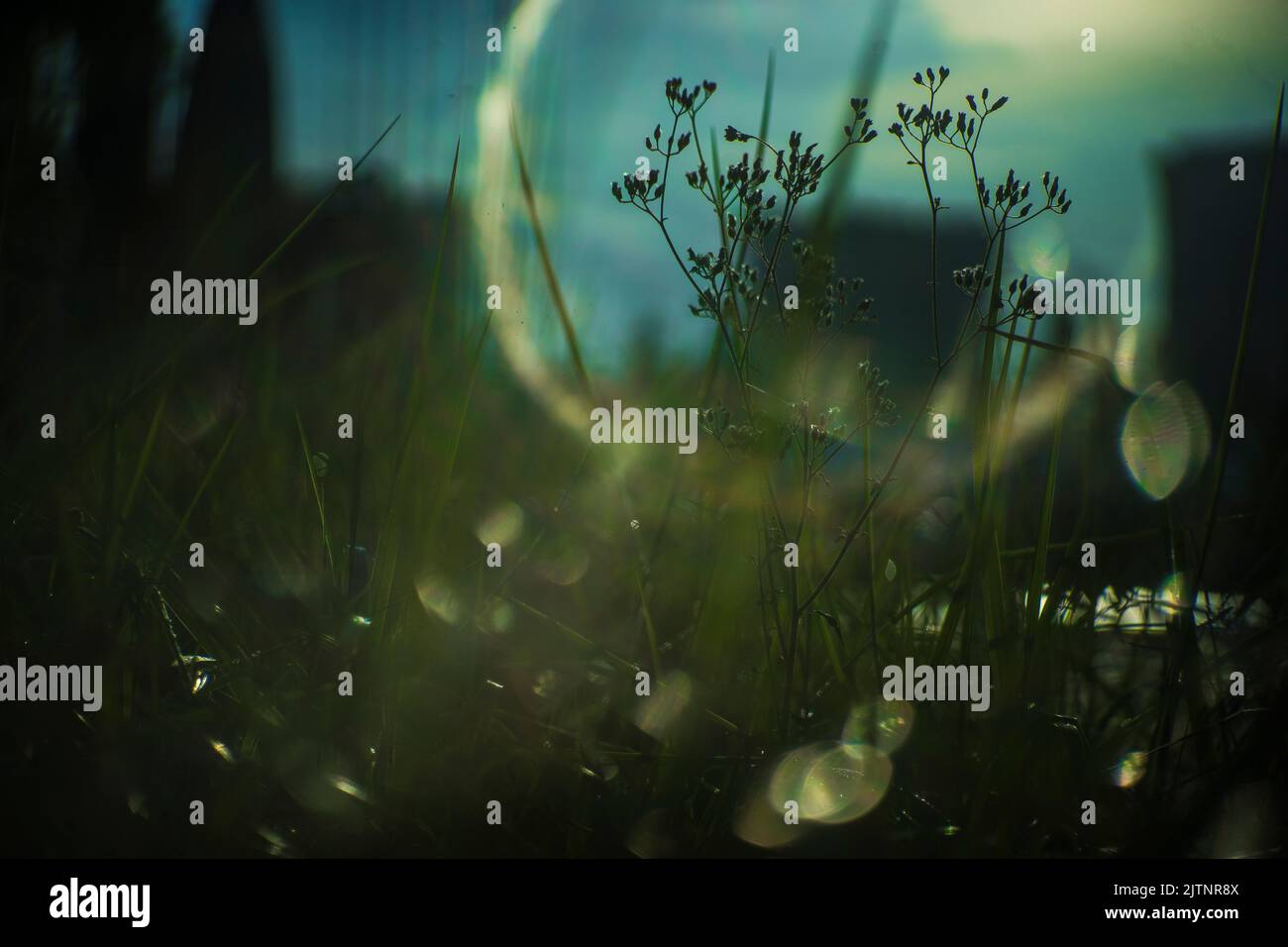 Strange effects from camera lenses create sunlight. Light pants ...