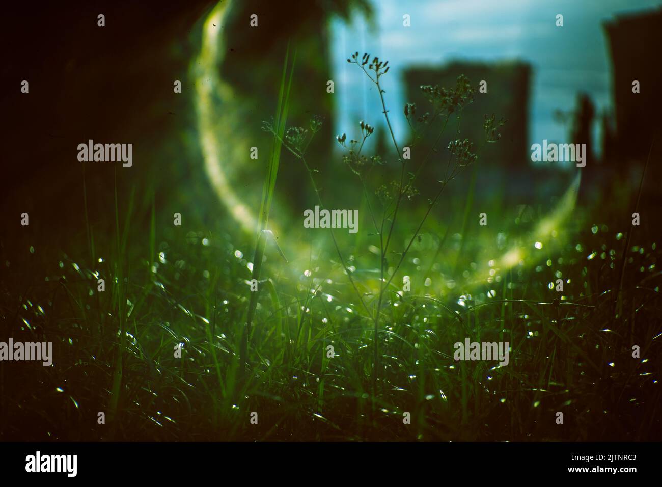 Strange effects from camera lenses create sunlight. Light pants ...