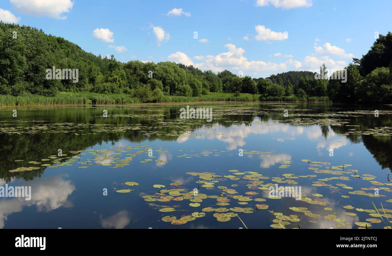 Typical Lithuanian summer landscape - a lake with water lily flowers ...