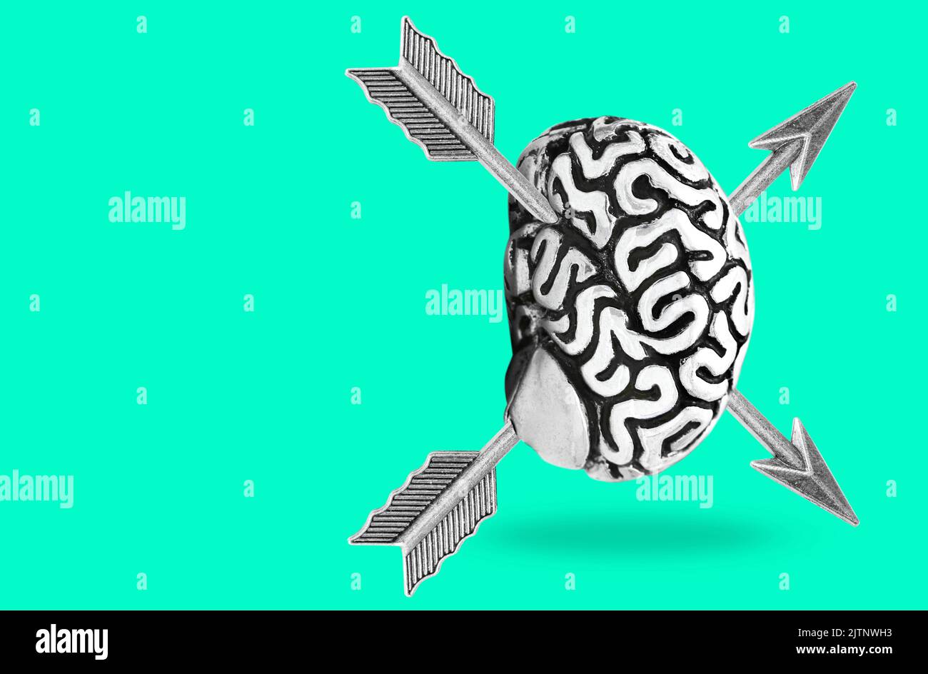 Two feathered bow arrows stuck in a metal copy of a human brain ...