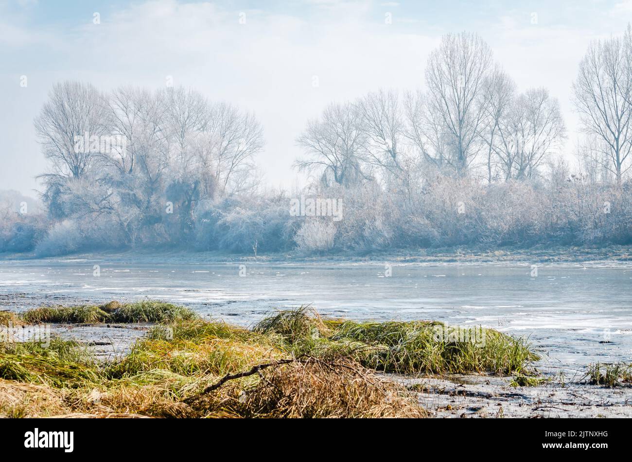 Danube Island Sodros near Novi Sad, Serbia. Gray and white landscape ...