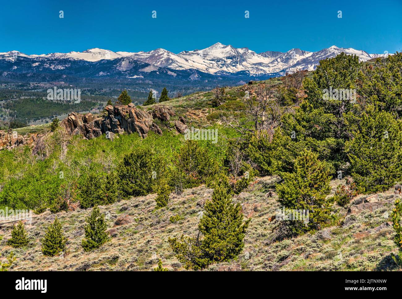 Open range area hi-res stock photography and images - Alamy