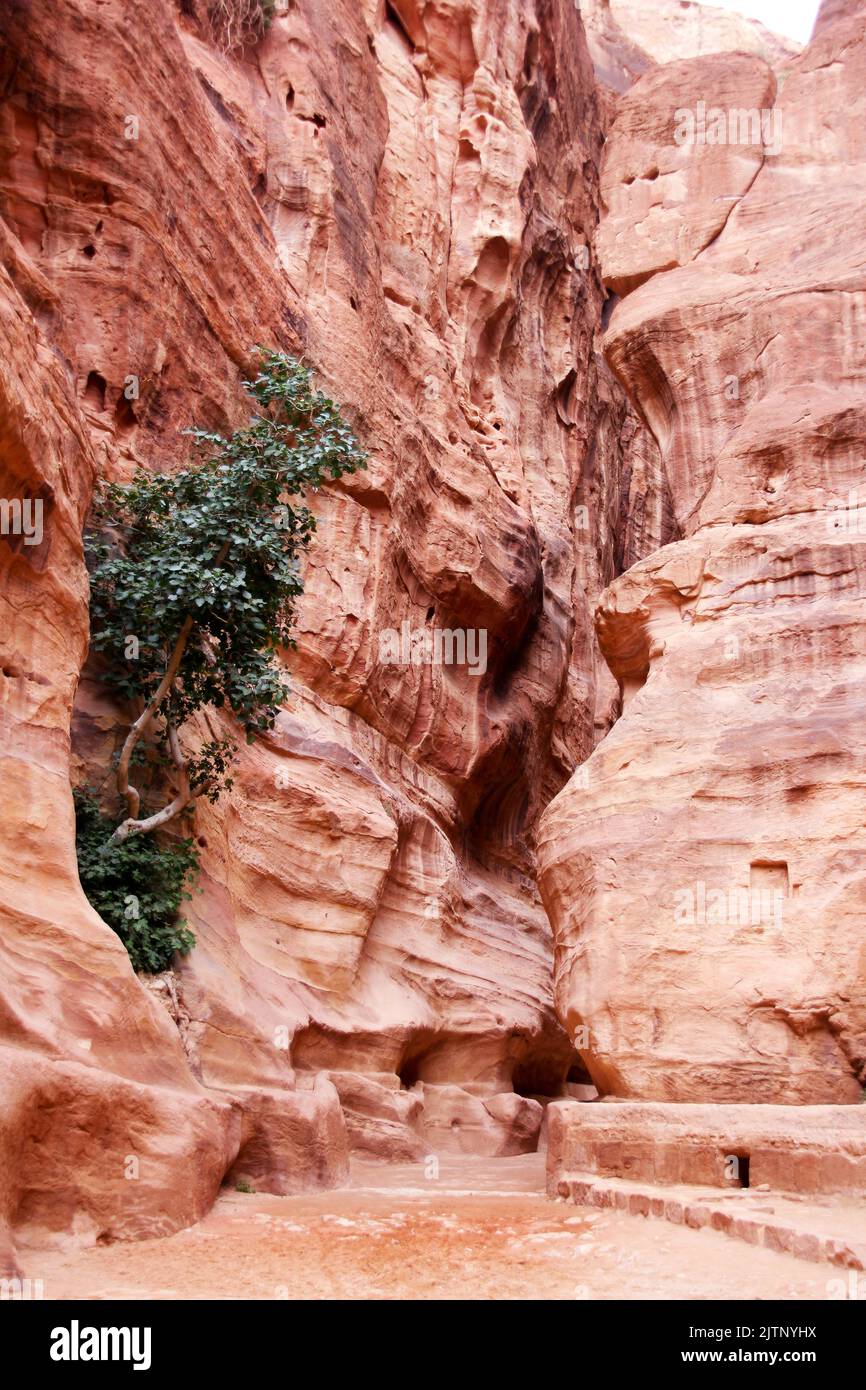 Petra red sand rock Sig Gorge, Jordan Stock Photo - Alamy
