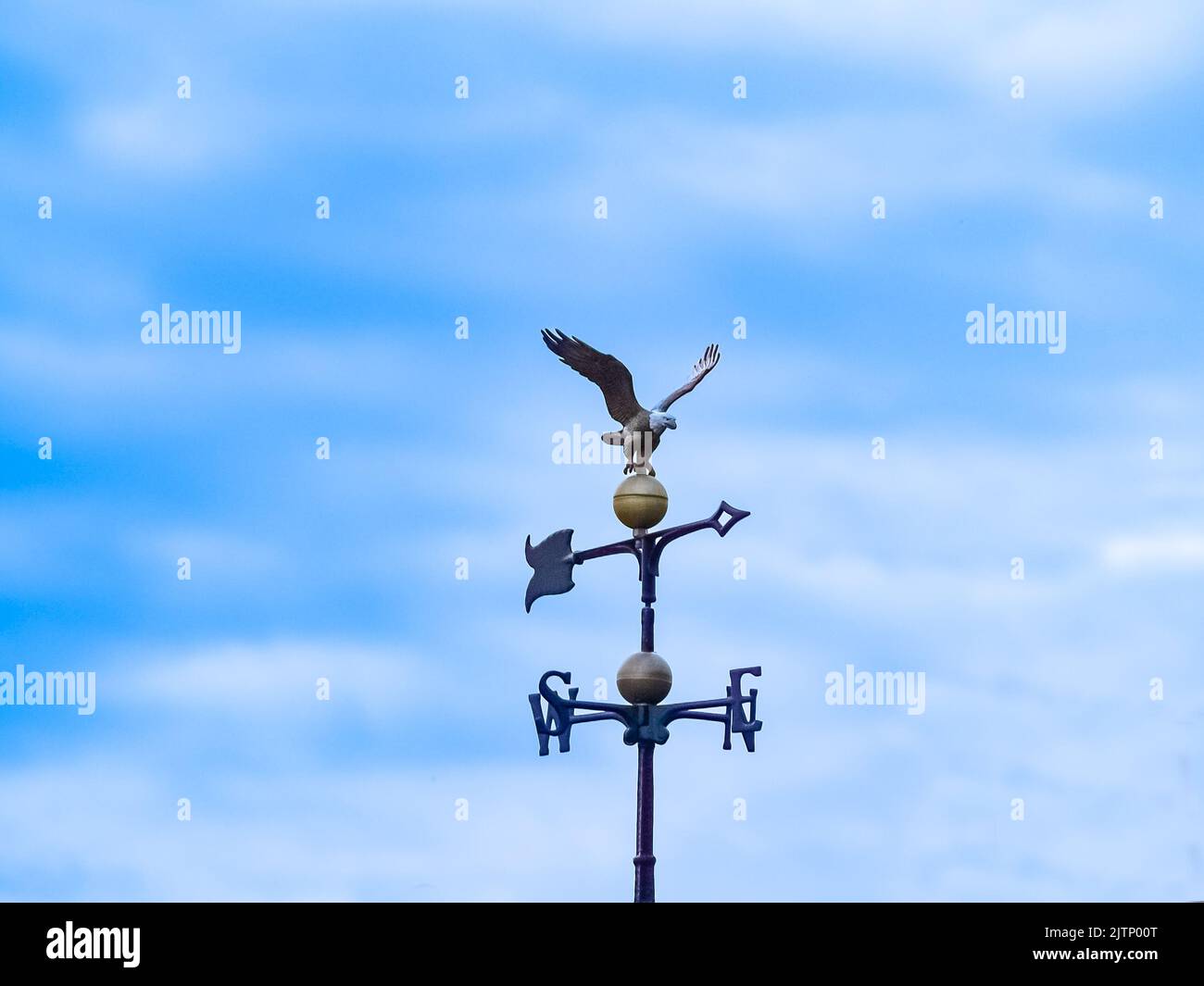 Wind vane bird hi-res stock photography and images - Alamy
