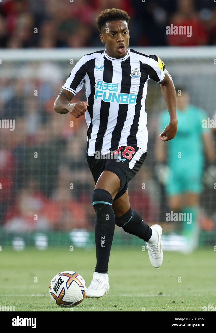Joseph willock newcastle united 2021 hi-res stock photography and ...