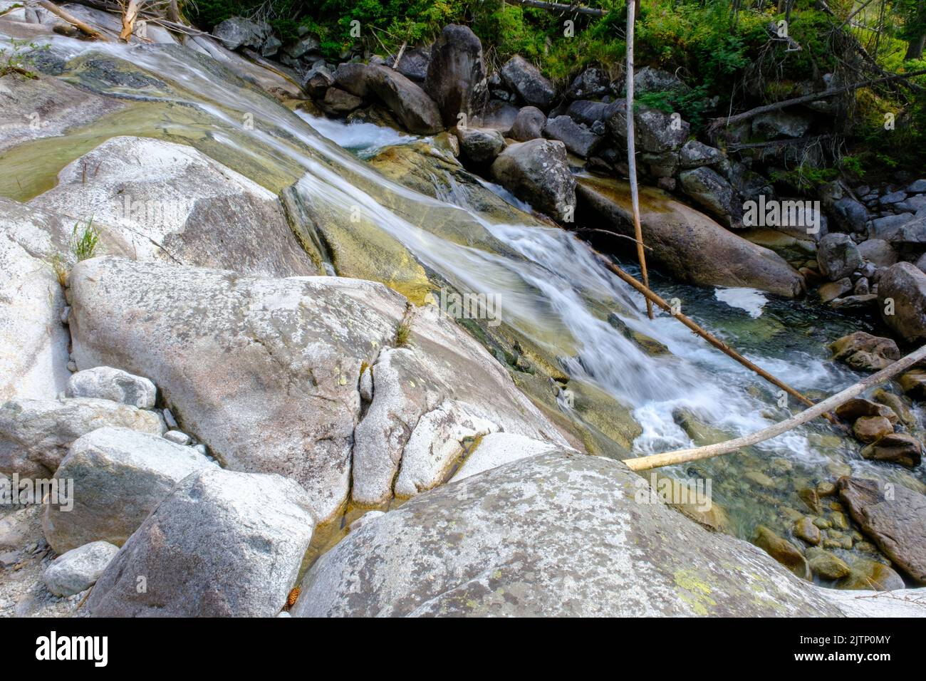 Slovak mountain river Studena in the High Tatras. A river with very ...