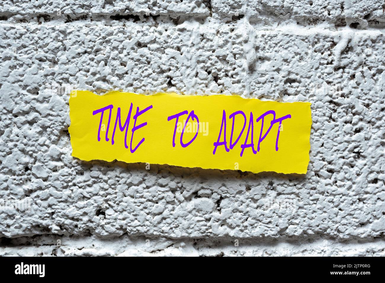 Conceptual caption Time To Adapt, Word for Moment to adjust oneself to ...