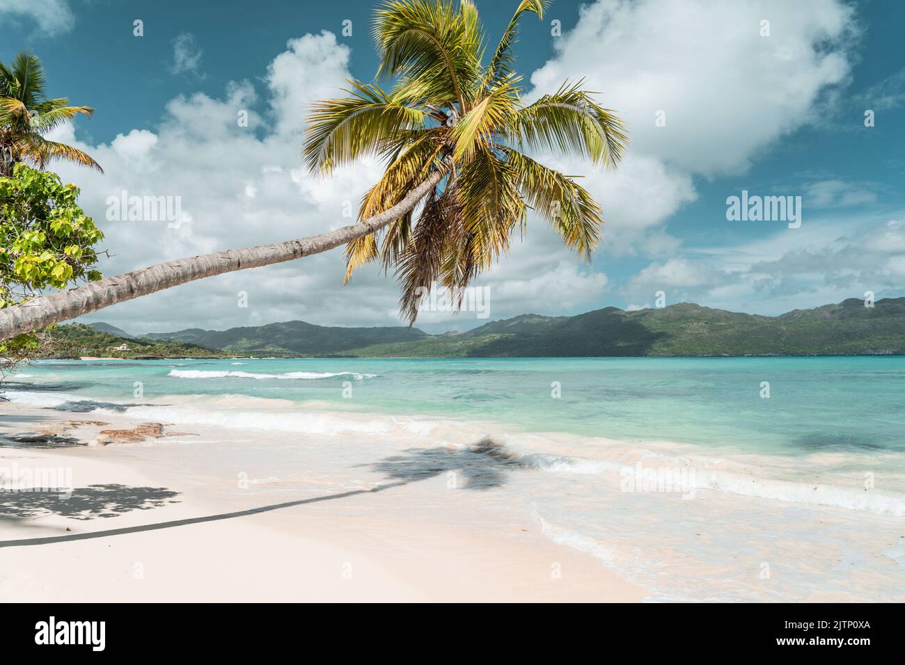 Carribean Beach on dream Island Stock Photo - Alamy