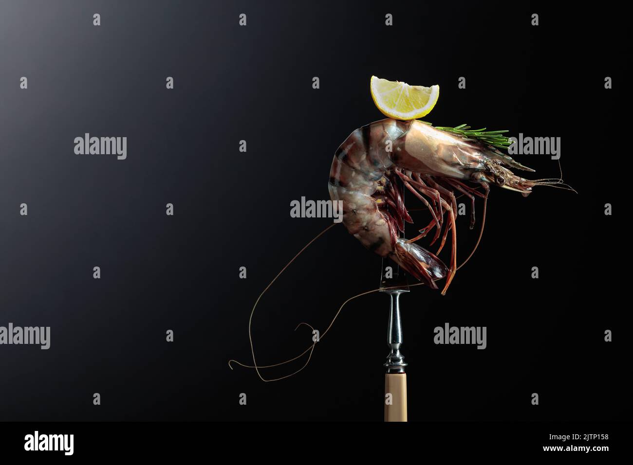 Fresh tiger prawn with rosemary and lemon slice on a black background ...