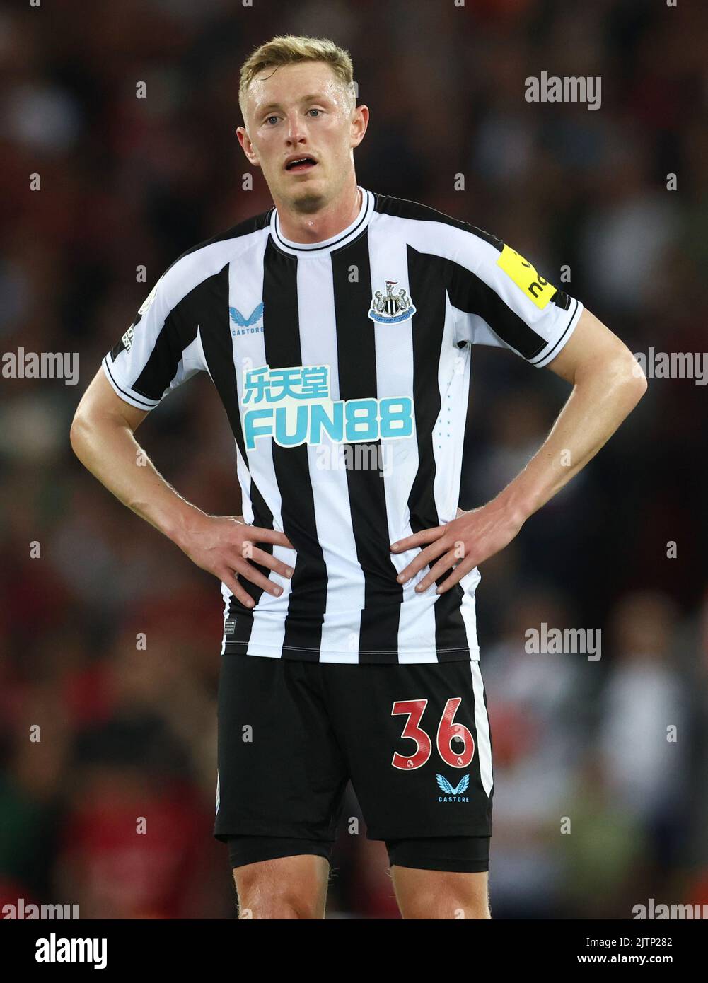 Liverpool, England, 31st August 2022. Sean Longstaff of Newcastle ...