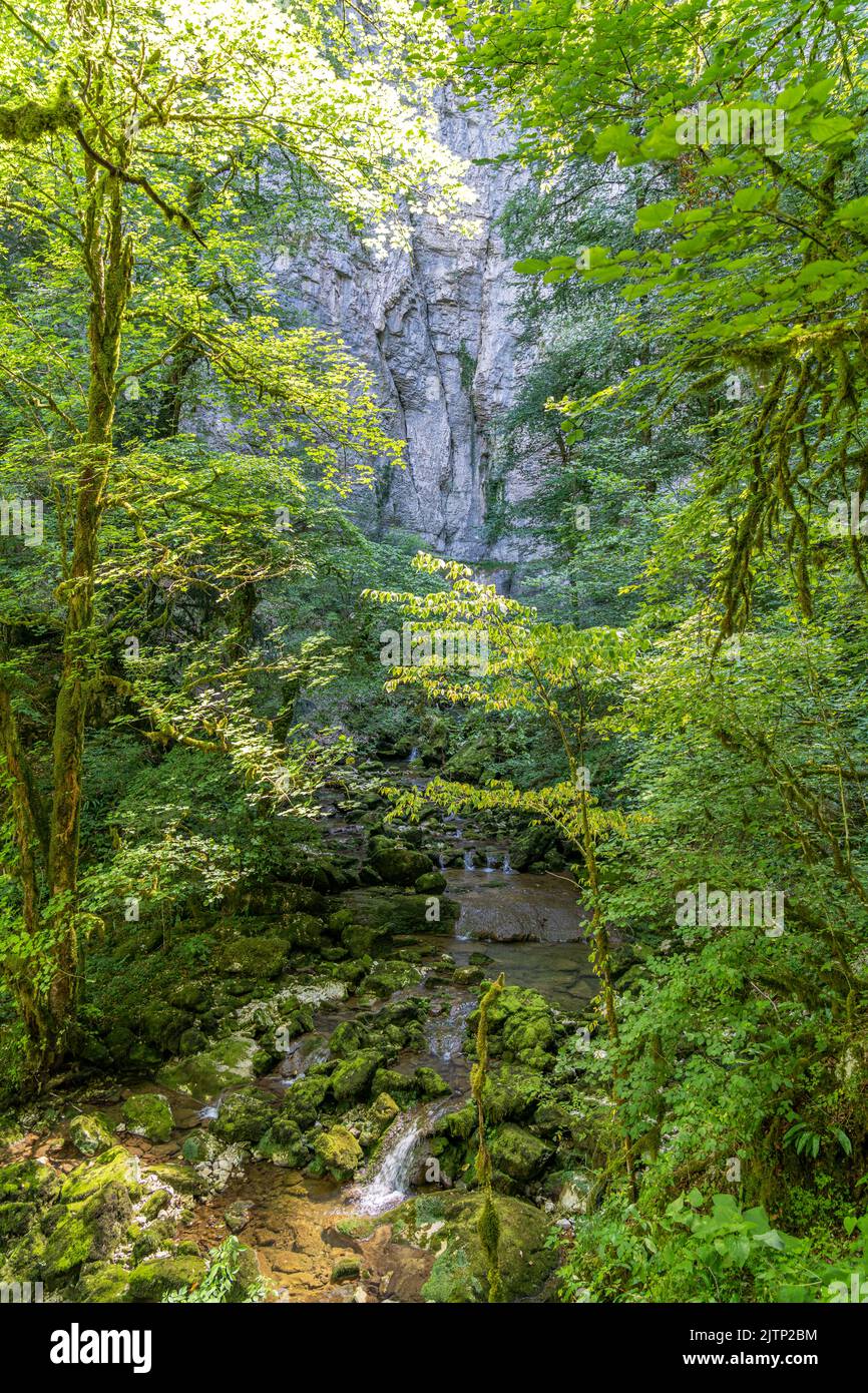 Tal der Lison an der Quelle Source du Lison bei Nans-sous-Sainte-Anne ...
