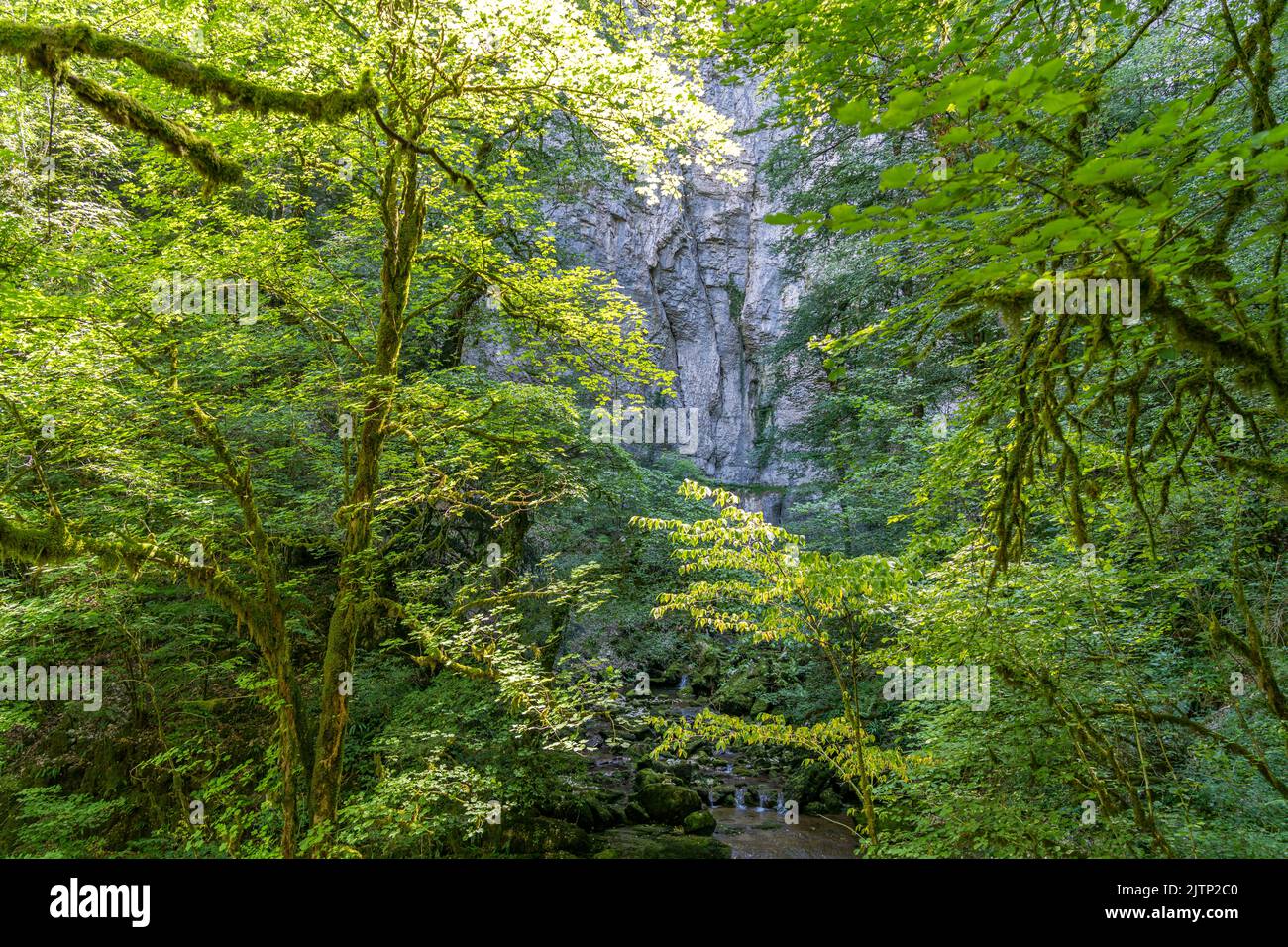 Tal der Lison an der Quelle Source du Lison bei Nans-sous-Sainte-Anne ...