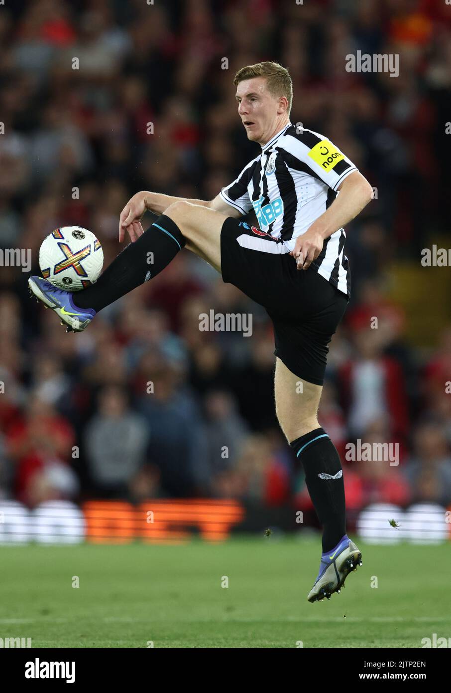 Dan burn hi-res stock photography and images - Alamy