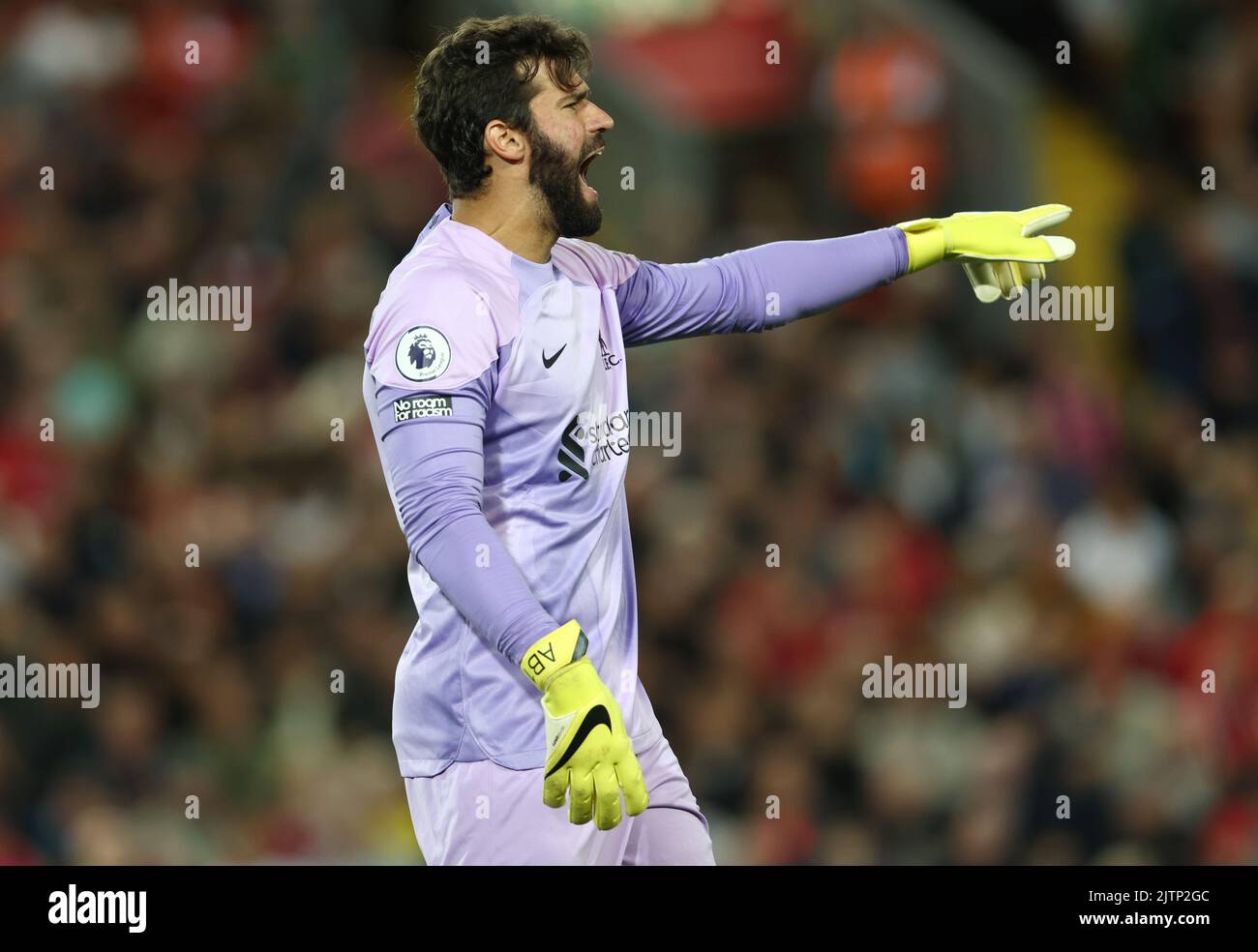 Liverpool, England, 31st August 2022. Alisson Becker of Liverpool ...