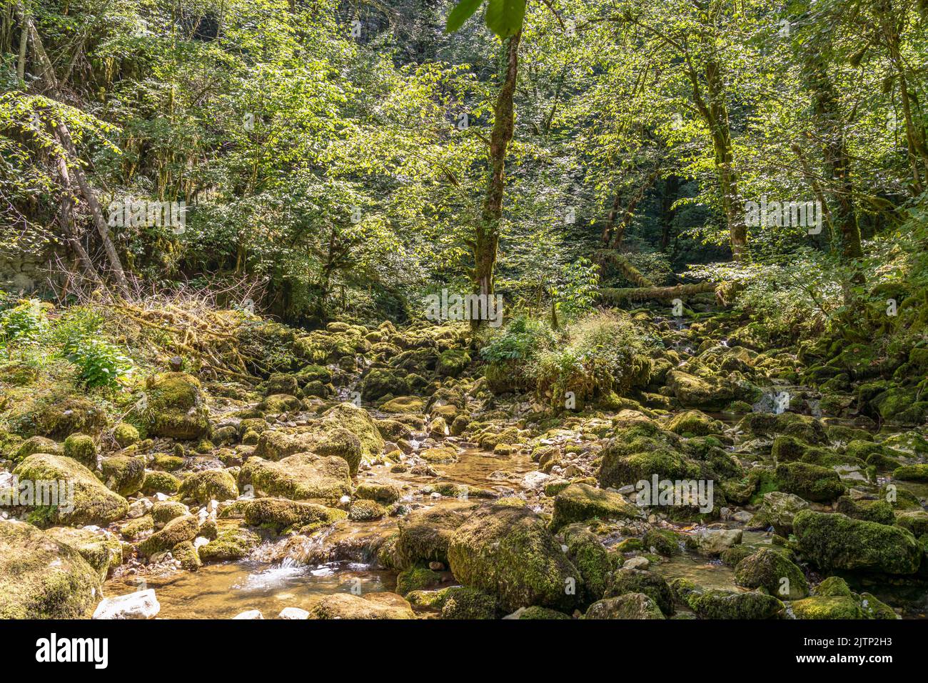 Tal der Lison an der Quelle Source du Lison bei Nans-sous-Sainte-Anne ...