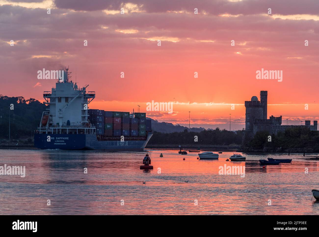 Cranes exports silhouette hi-res stock photography and images - Alamy