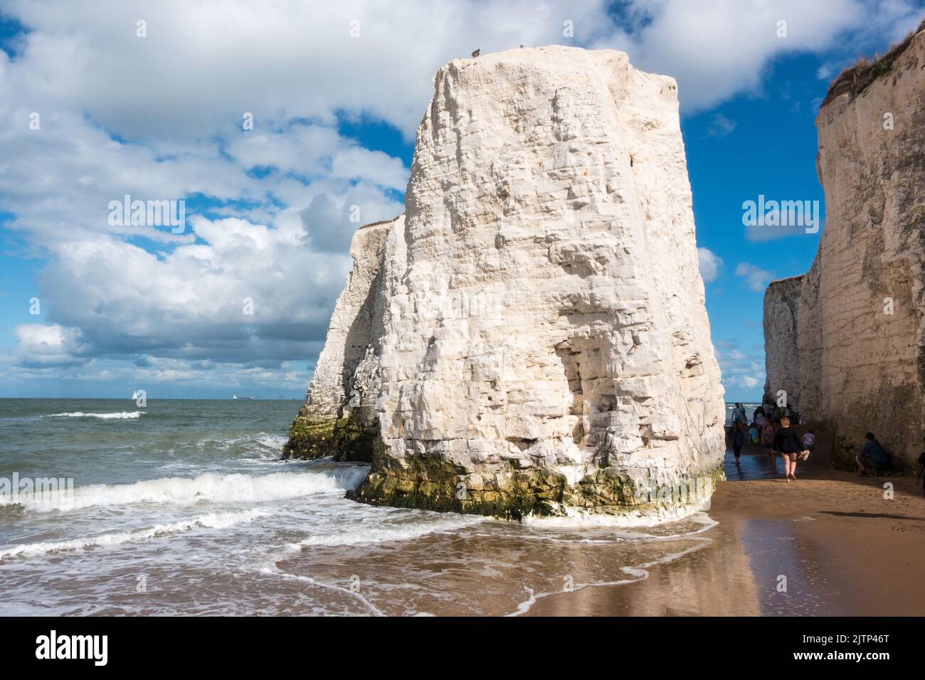 Freestanding white chalk cliff stack on Botany Bay, Kent, England, UK ...