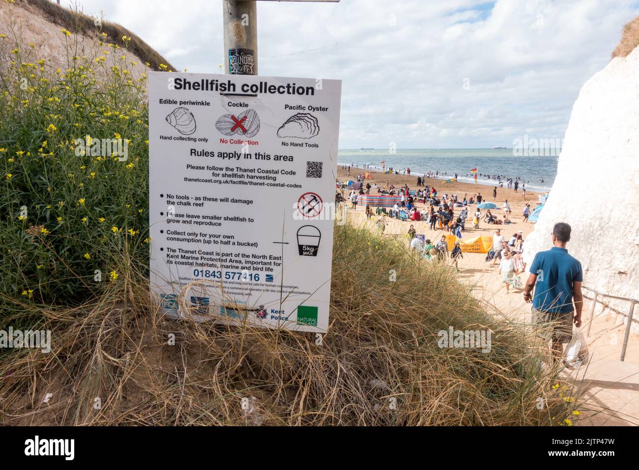 Shell fish collection restriction in Kent Coastal path set by Thanet ...