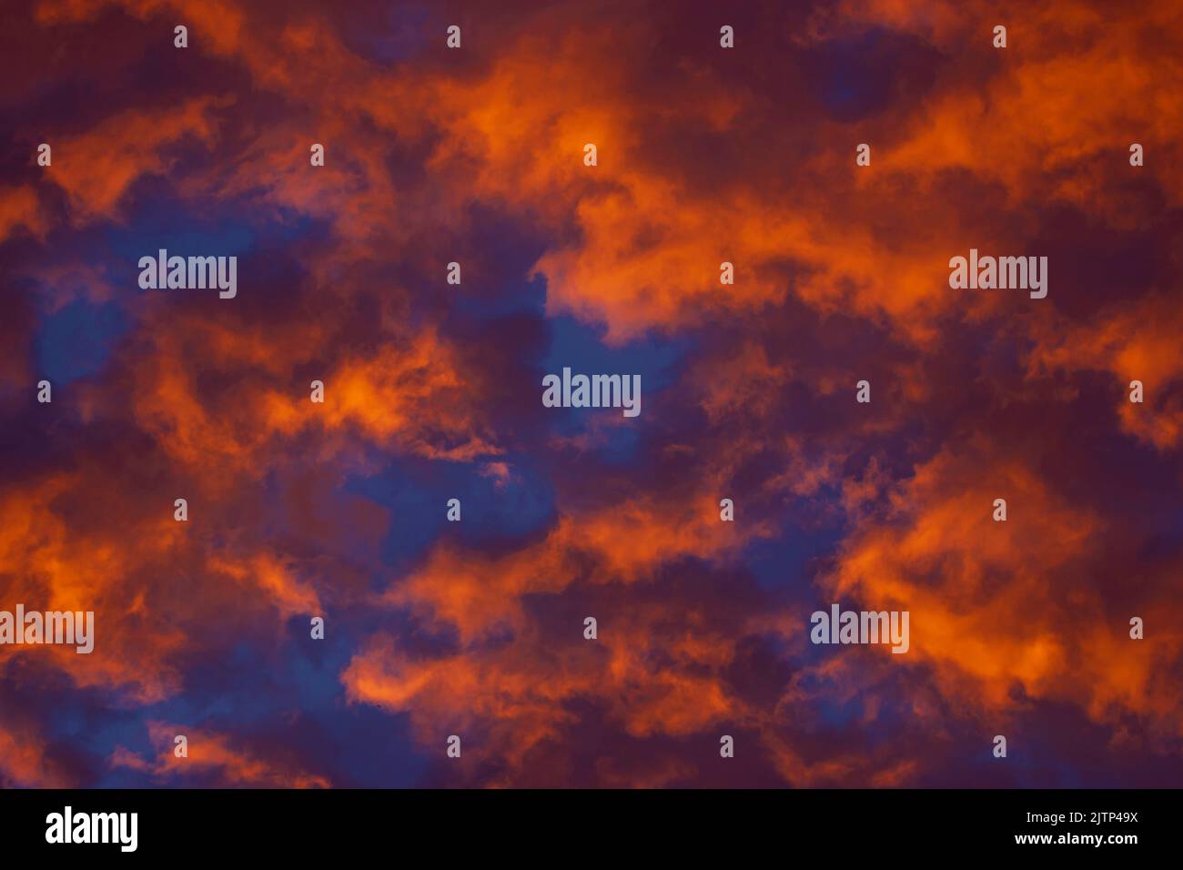 Fire red dawn sky forest hi-res stock photography and images - Alamy
