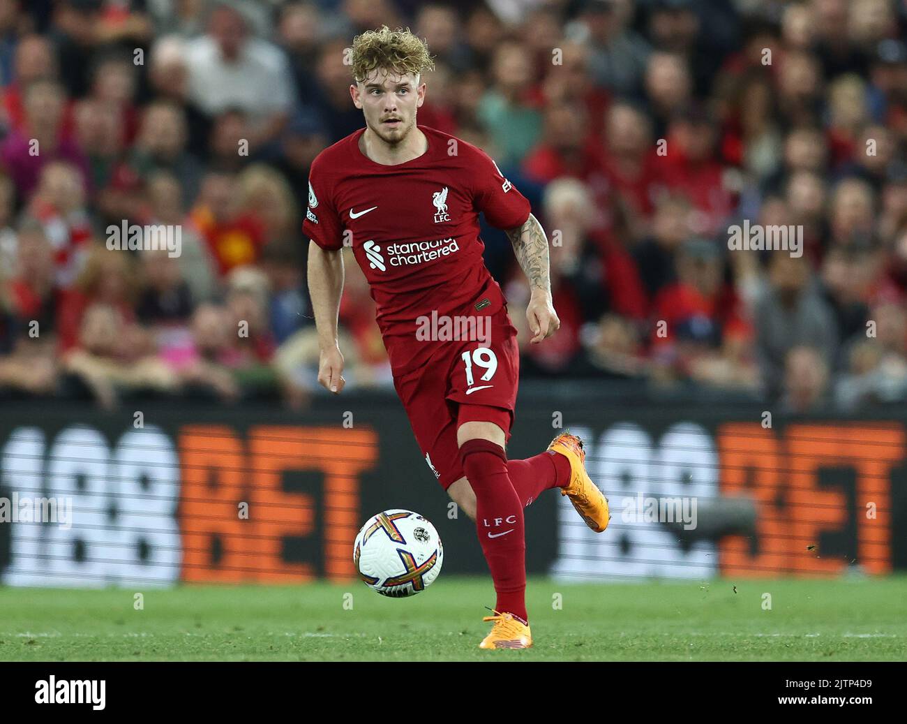 Liverpool, England, 31st August 2022. Harvey Elliott of Liverpool ...