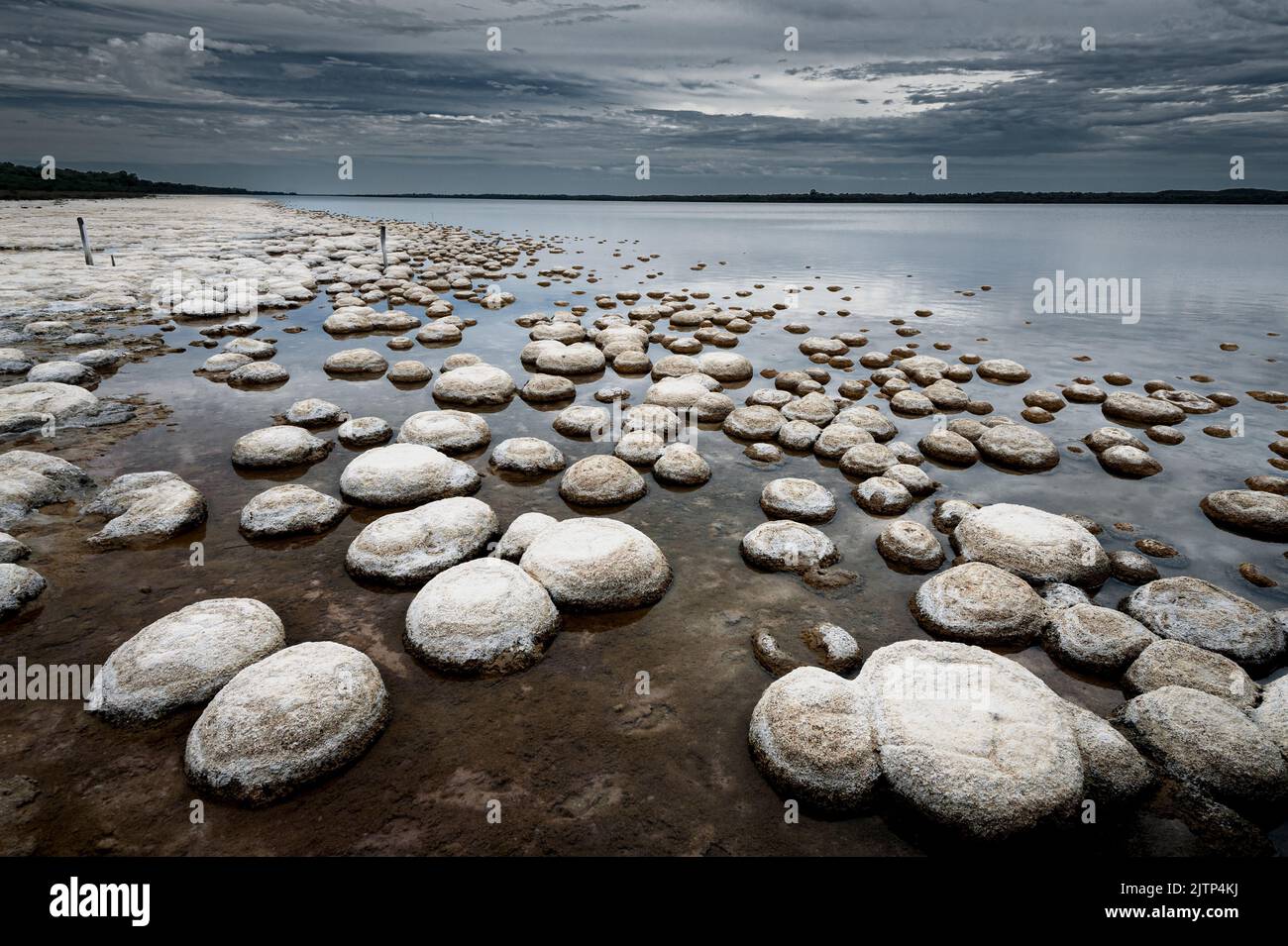 Ancient and rare life form of Thrombolites at Lake Clifton in Yalgorup ...