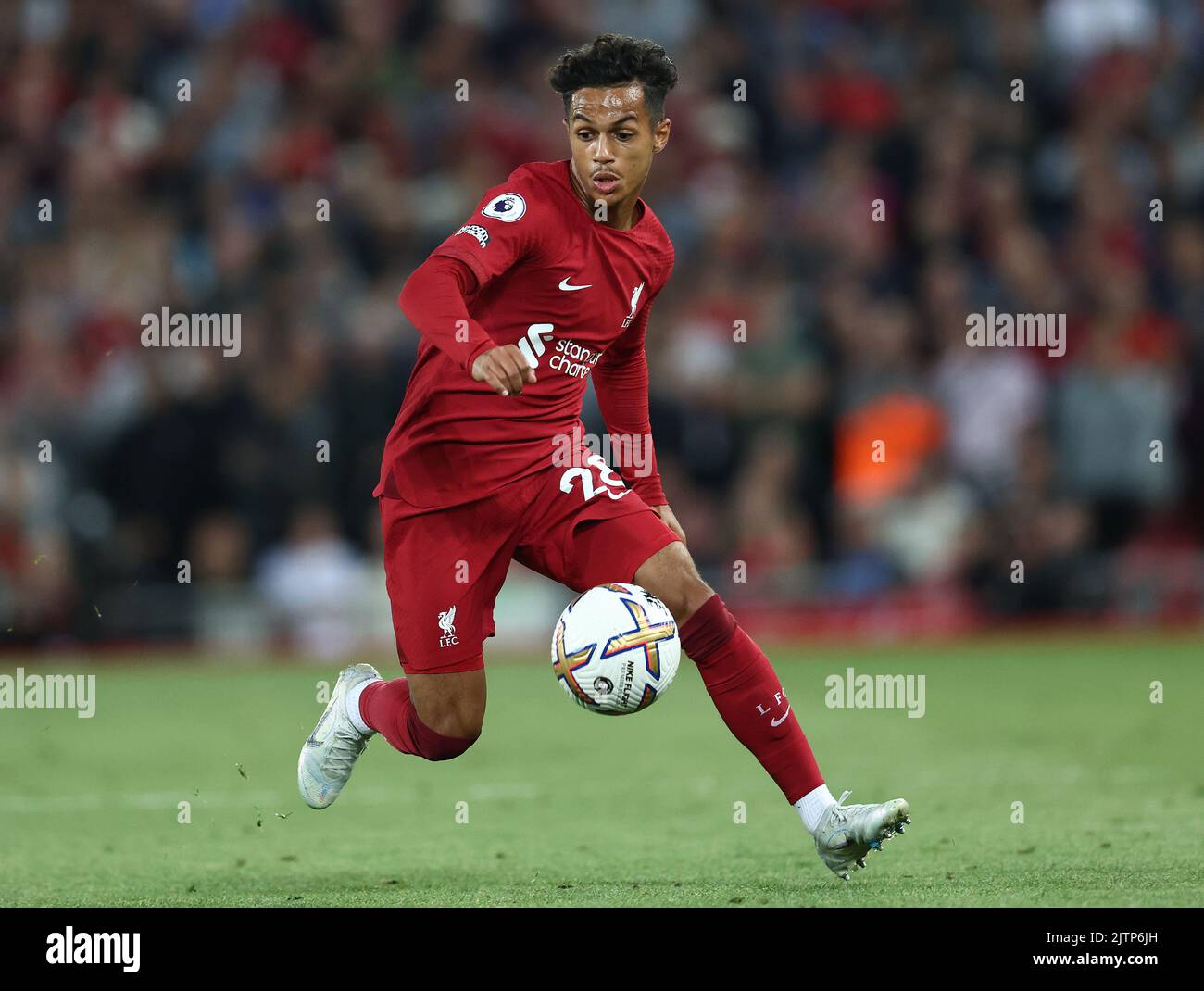 Liverpool, England, 31st August 2022. Fabio Carvalho of Liverpool ...