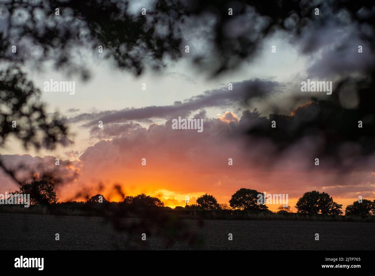 Wakefield,West Yorkshire, UK. 31st August, 2022. UK Weather. The ...