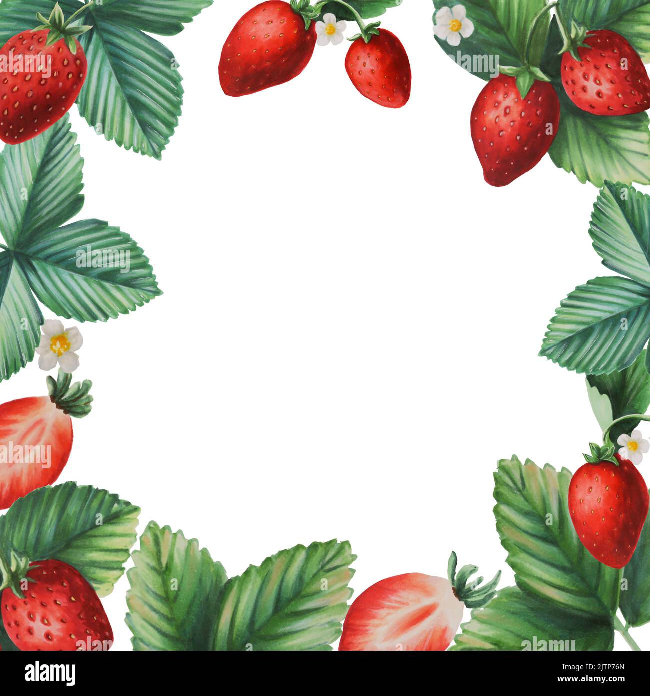 Strawberry isolated frame Stock Photo - Alamy