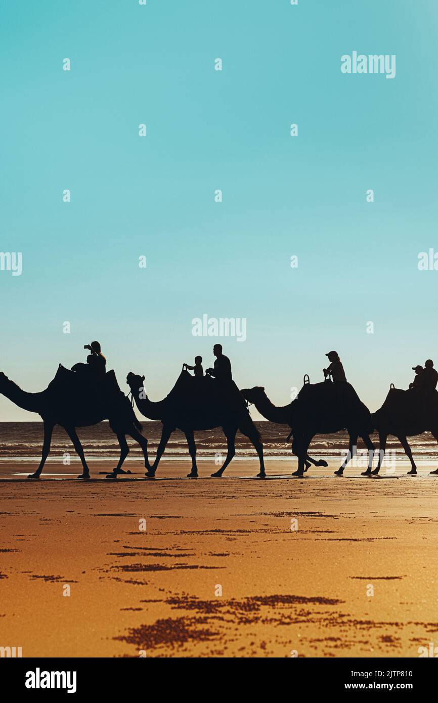 A vertical shot of silhouettes of people riding camels in Broome ...