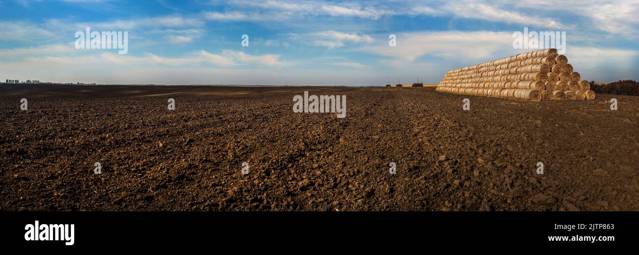 straw bales stacked in a pyramid shaped pile on a plowed field, arable ...