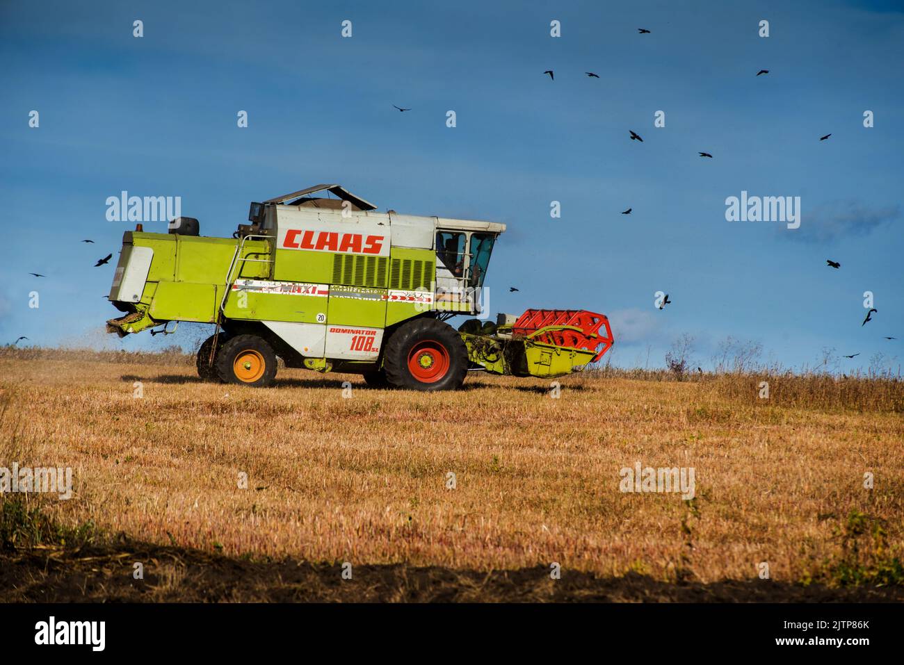 TERNOPIL REGION, UKRAINE - October 23, 2021 - old combine CLAAS ...