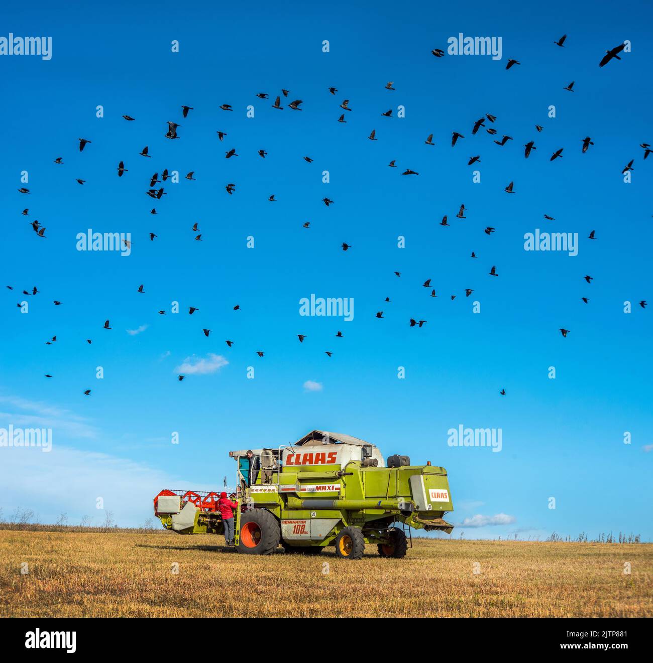 Agriculture industry technology claas hi-res stock photography and ...