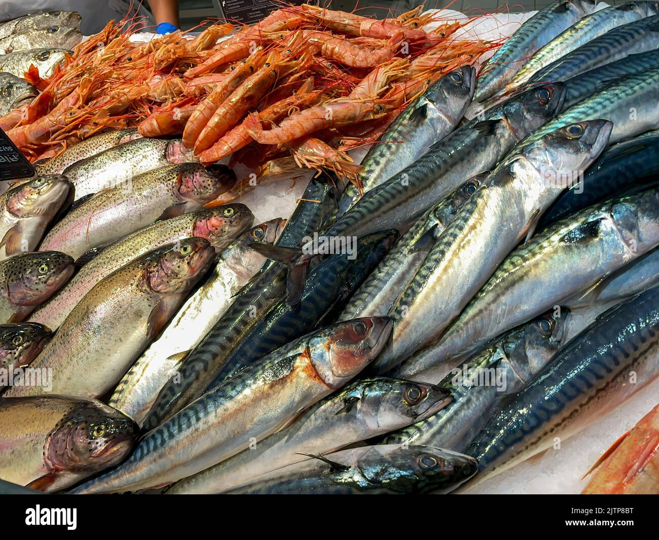 fresh fish at the fish market Stock Photo - Alamy