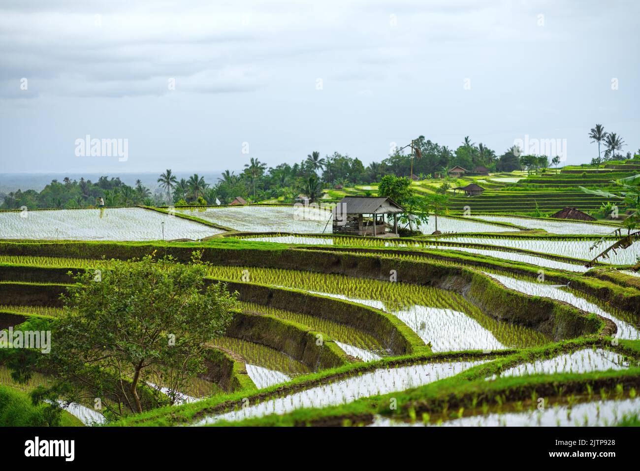 landscape of rice terraces and old house Stock Photo - Alamy