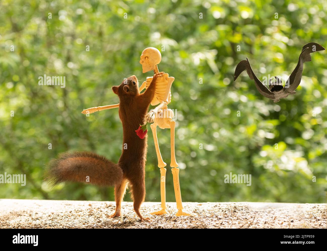 Skeleton hang rope hi-res stock photography and images - Alamy