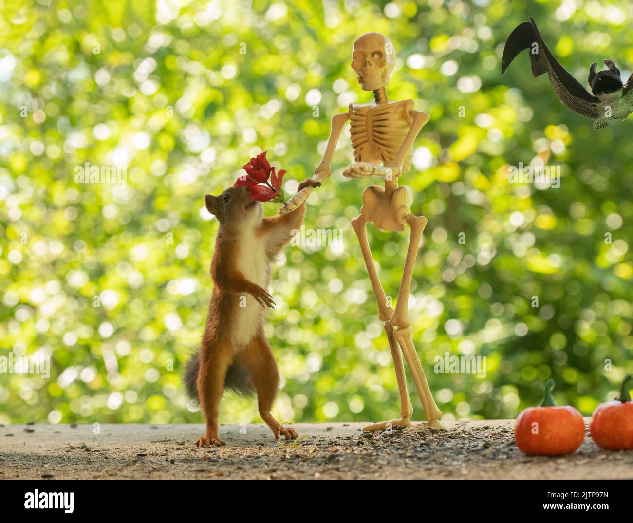 Skeleton hang rope hi-res stock photography and images - Alamy