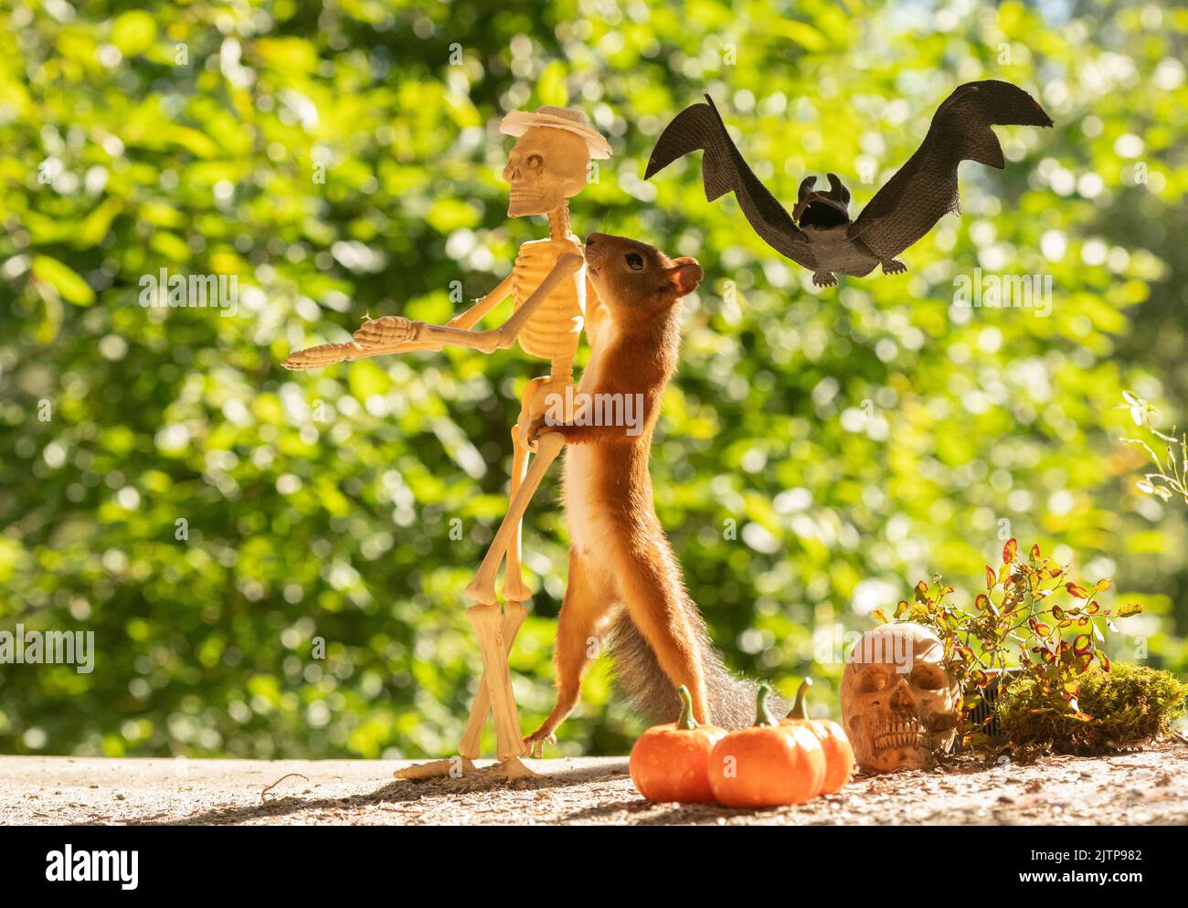 Skeleton hang rope hi-res stock photography and images - Alamy