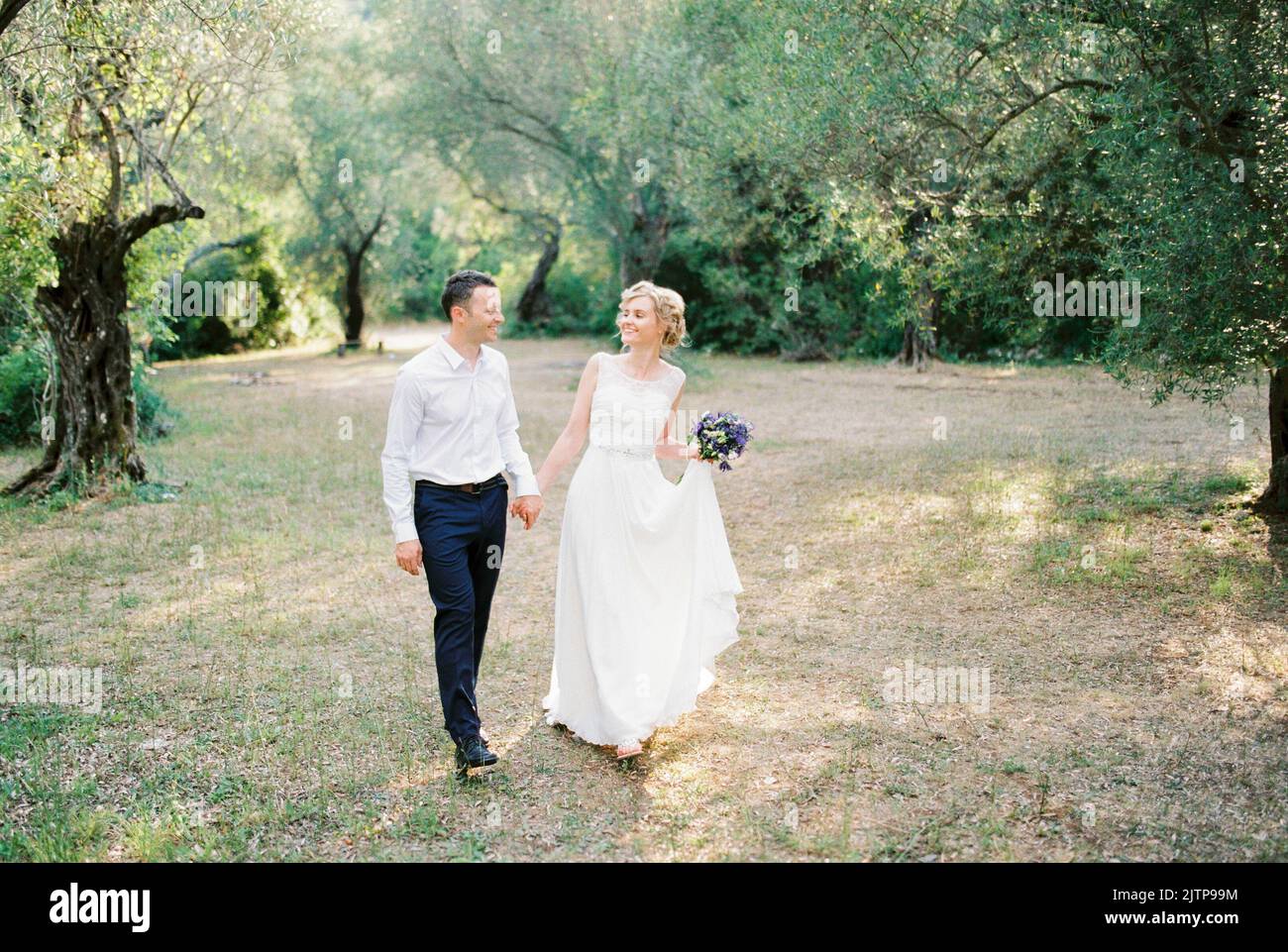 Bride and groom walk hand in hand through the olive grove Stock Photo ...