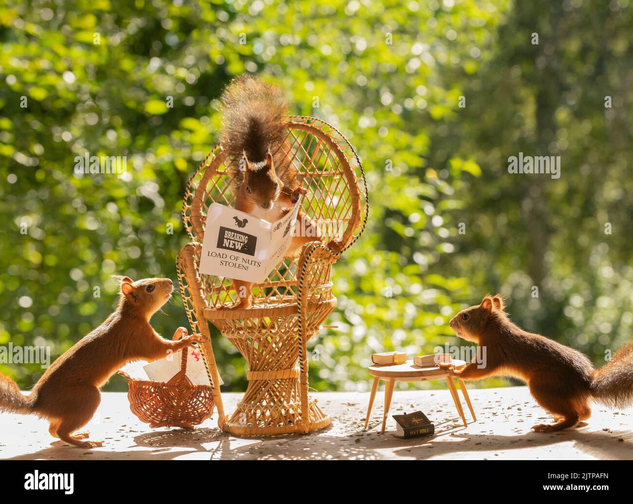 Gossip chair hi-res stock photography and images - Alamy