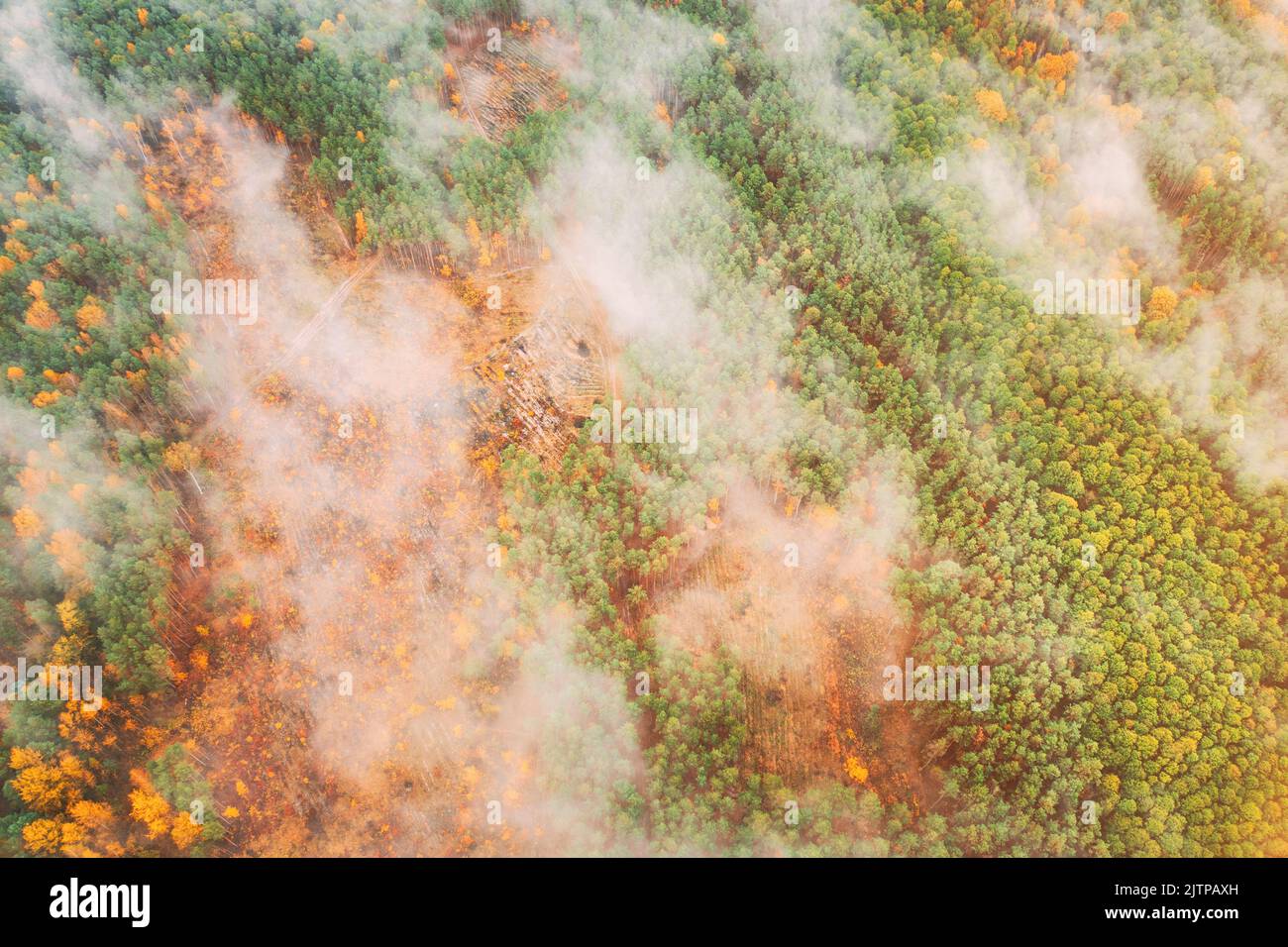 Aerial view. A logging zone cuts through forest. Bush fire and smoke in ...